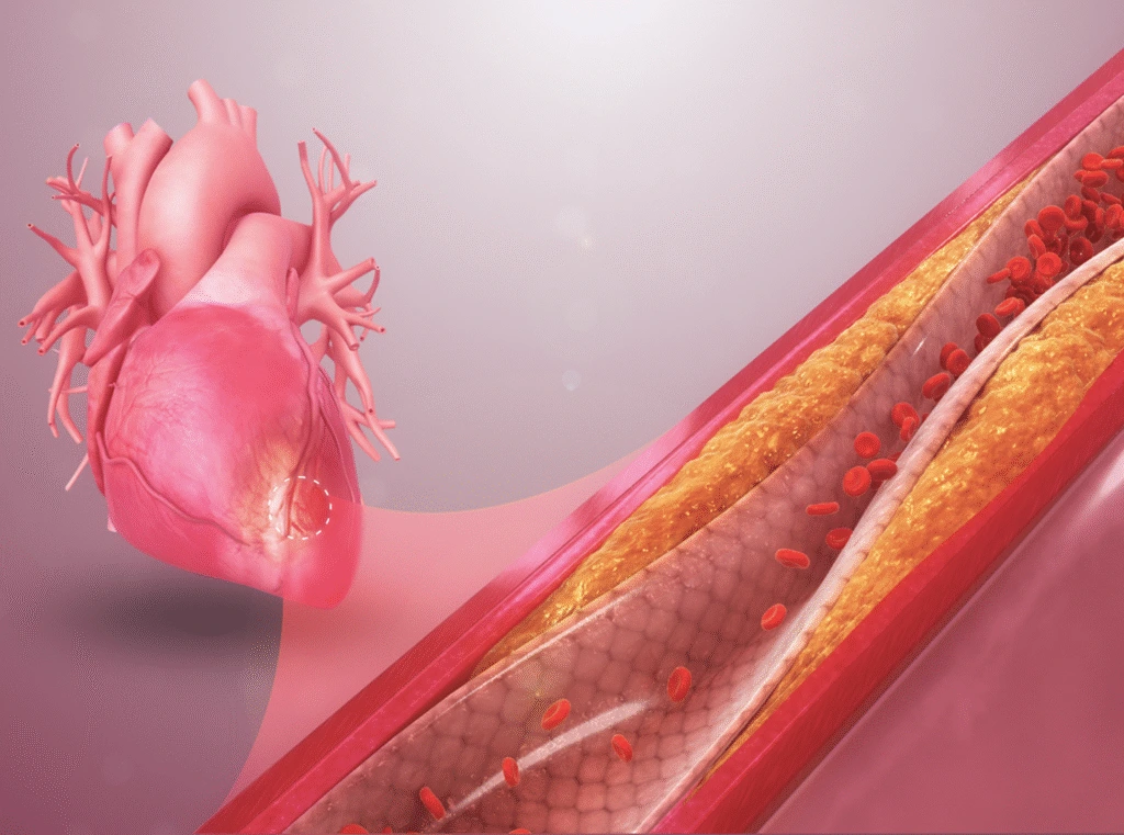 Cardiac Conditions We Treat in Chandler and Queen Creek, AZ